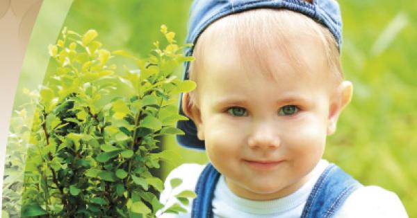 Babytree: Η ΜΕΓΑ φυτεύει ένα δέντρο για κάθε παιδί που γεννιέται ...